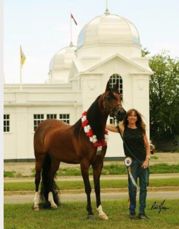 Our Sales Philosophy | Trowbridges LTD